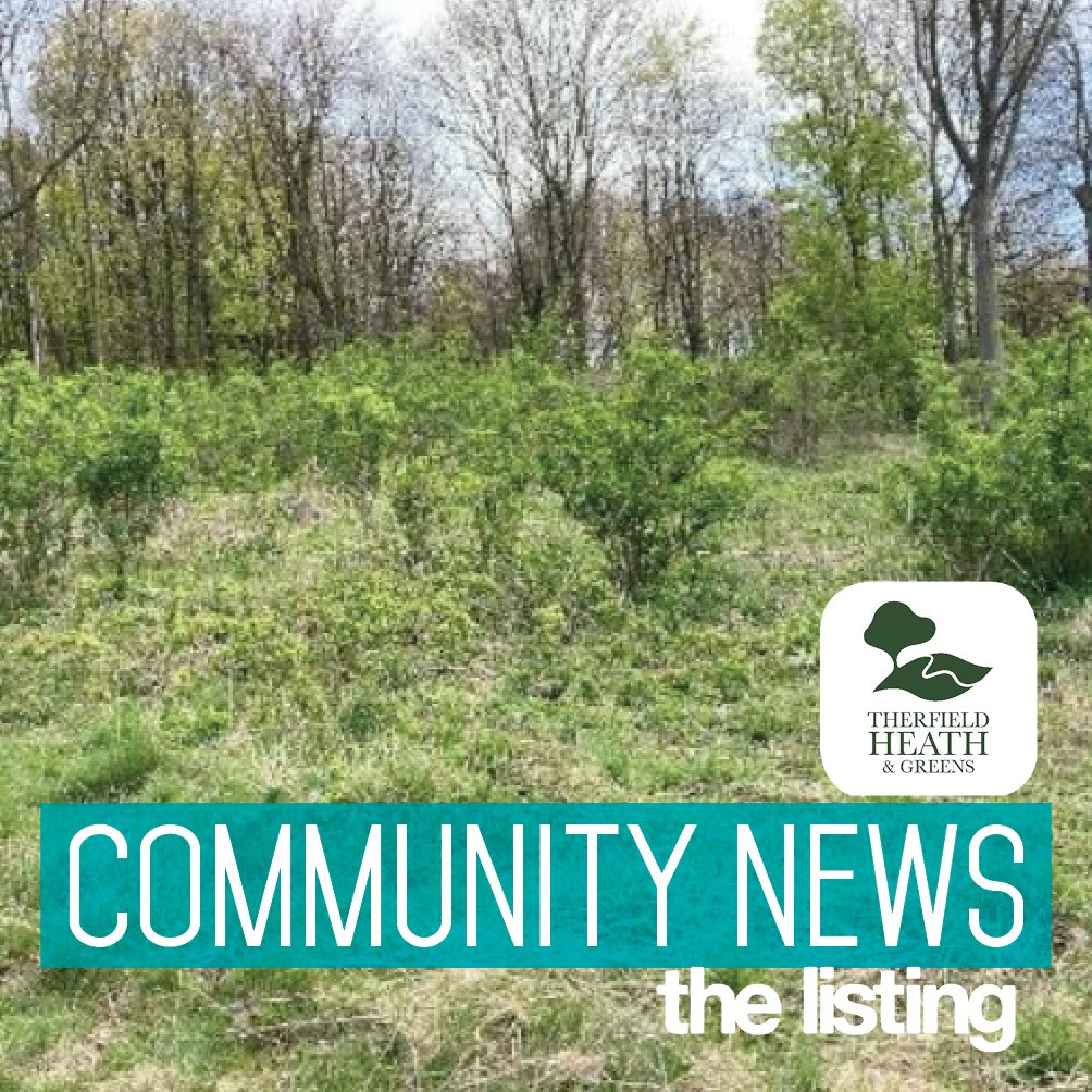 Therfield Heath Conservation Habitat Management — The Listing Magazine